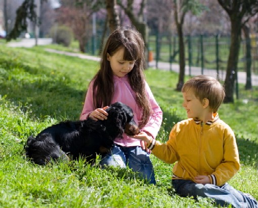 Pets help kids learn empathy – Awake Parent